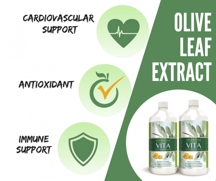 Vita Olive Leaf Extract with Oleuropein for your Health | MyVitaly ...